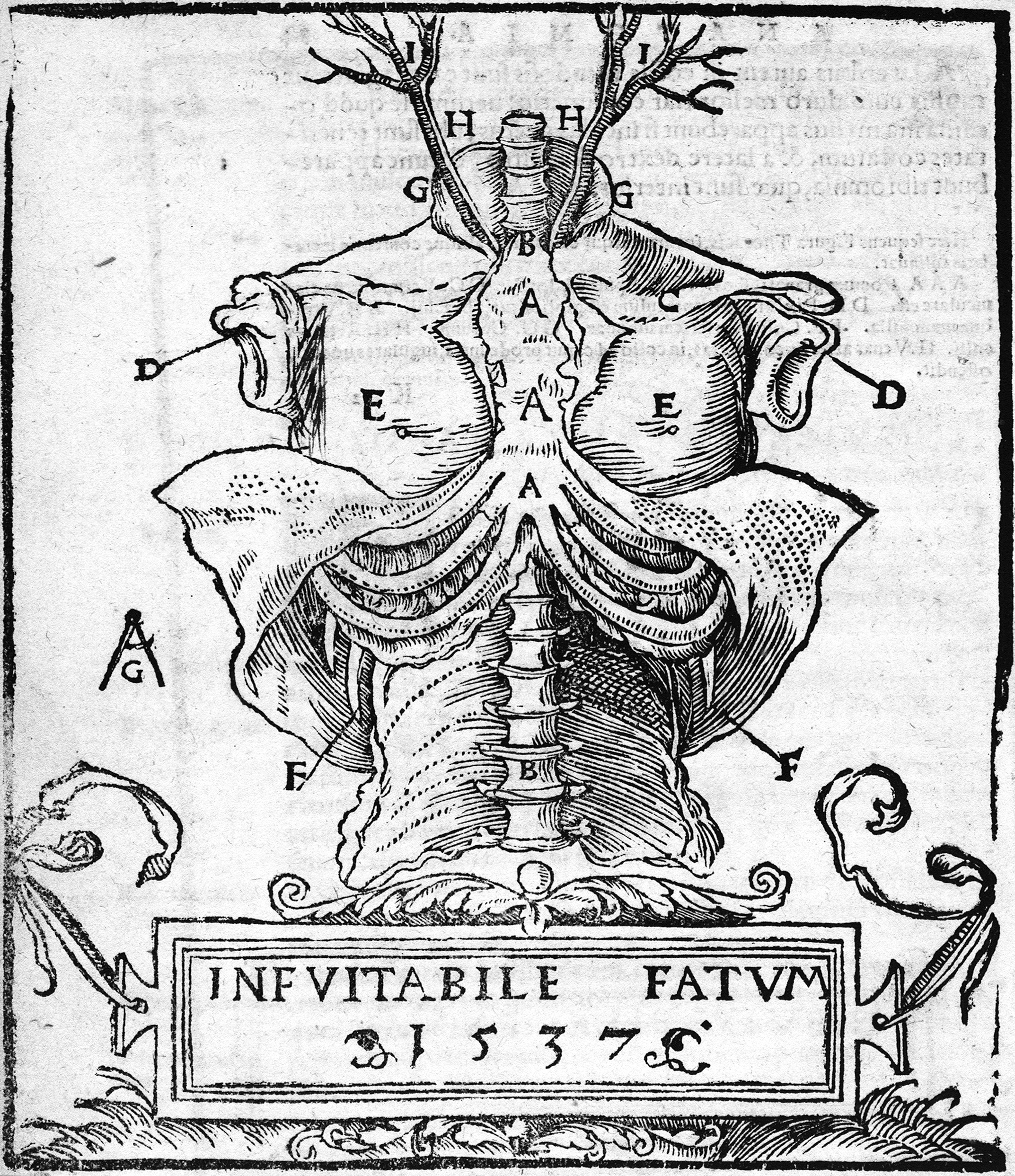 Medical.Museum - Medical History Trading Cards